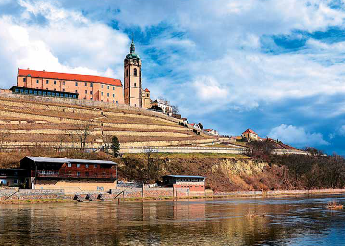 WINE & Degustation: Mělník